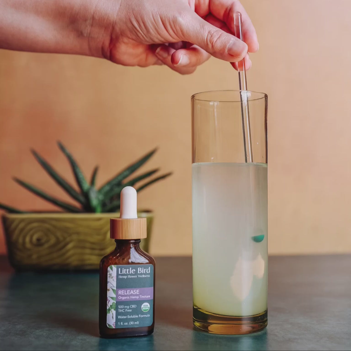 RELEASE Organic Hemp Tincture | Little Bird